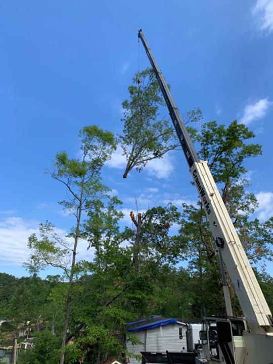 Harris Tree Service - Springville, AL
