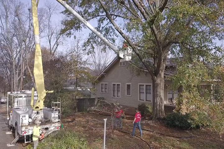 Harris Tree Service - Springville, AL